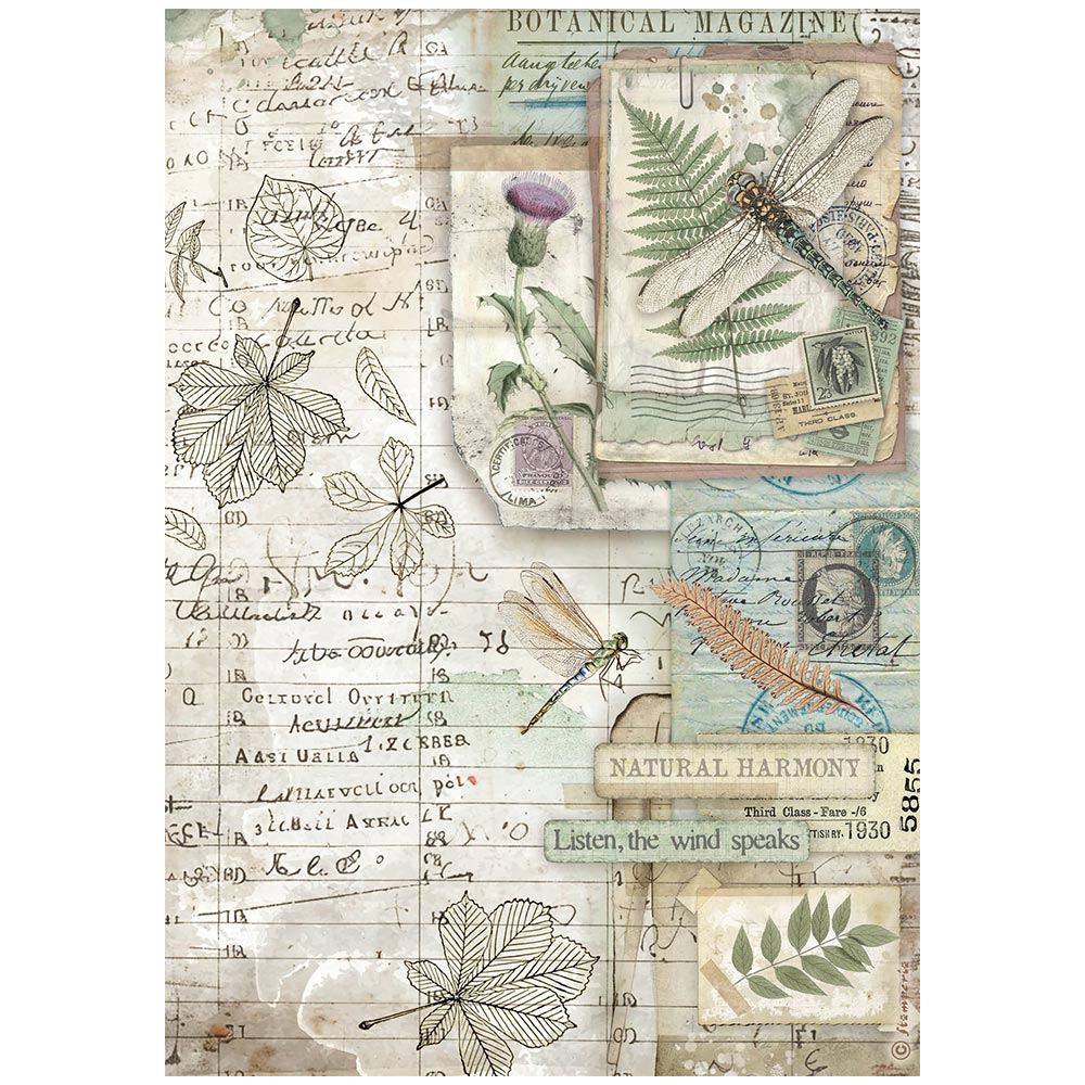 Stamperia A4 Rice Paper Packed Herbarium Silvae Botanic Dfsa41078