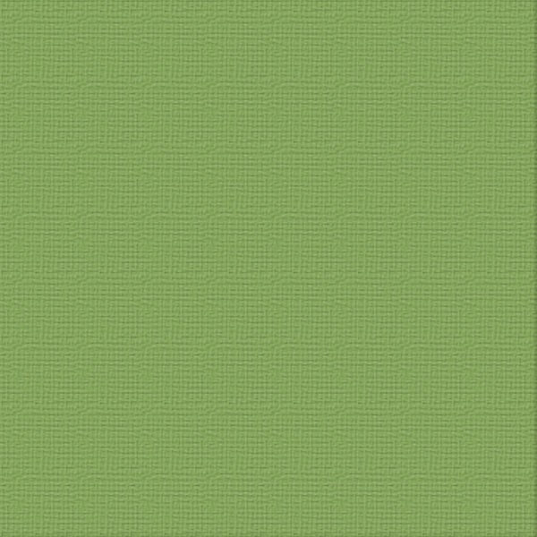 COUTURE CREATIONS-12X12 CARDSTOCK PKT 10- JUNGLE - ULT200038 — Bevs ...